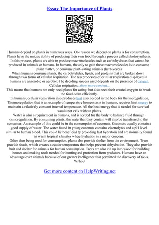 Tree Plantation Essay | PDF