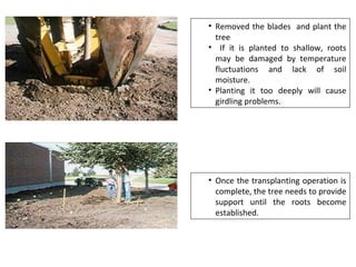 Tree plantation machine by Using Hydraulic System ppt | PPT