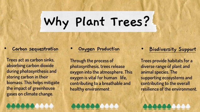 Tree Plantation presentation slide,pptx file | PPT