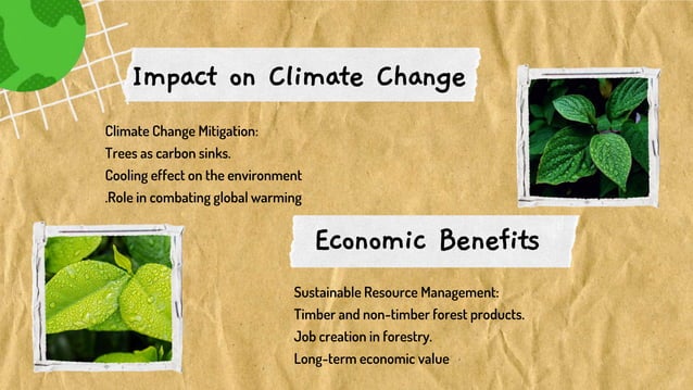 Tree Plantation presentation slide,pptx file | PPT