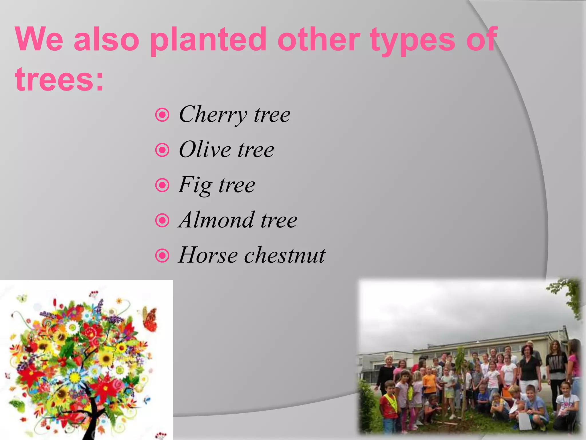 Tree planting | PPTX