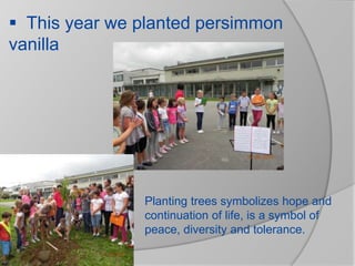 Tree planting | PPTX