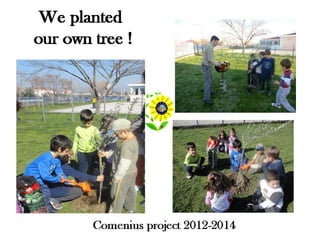 Tree planting | PPT