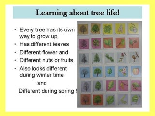 Tree planting | PPT