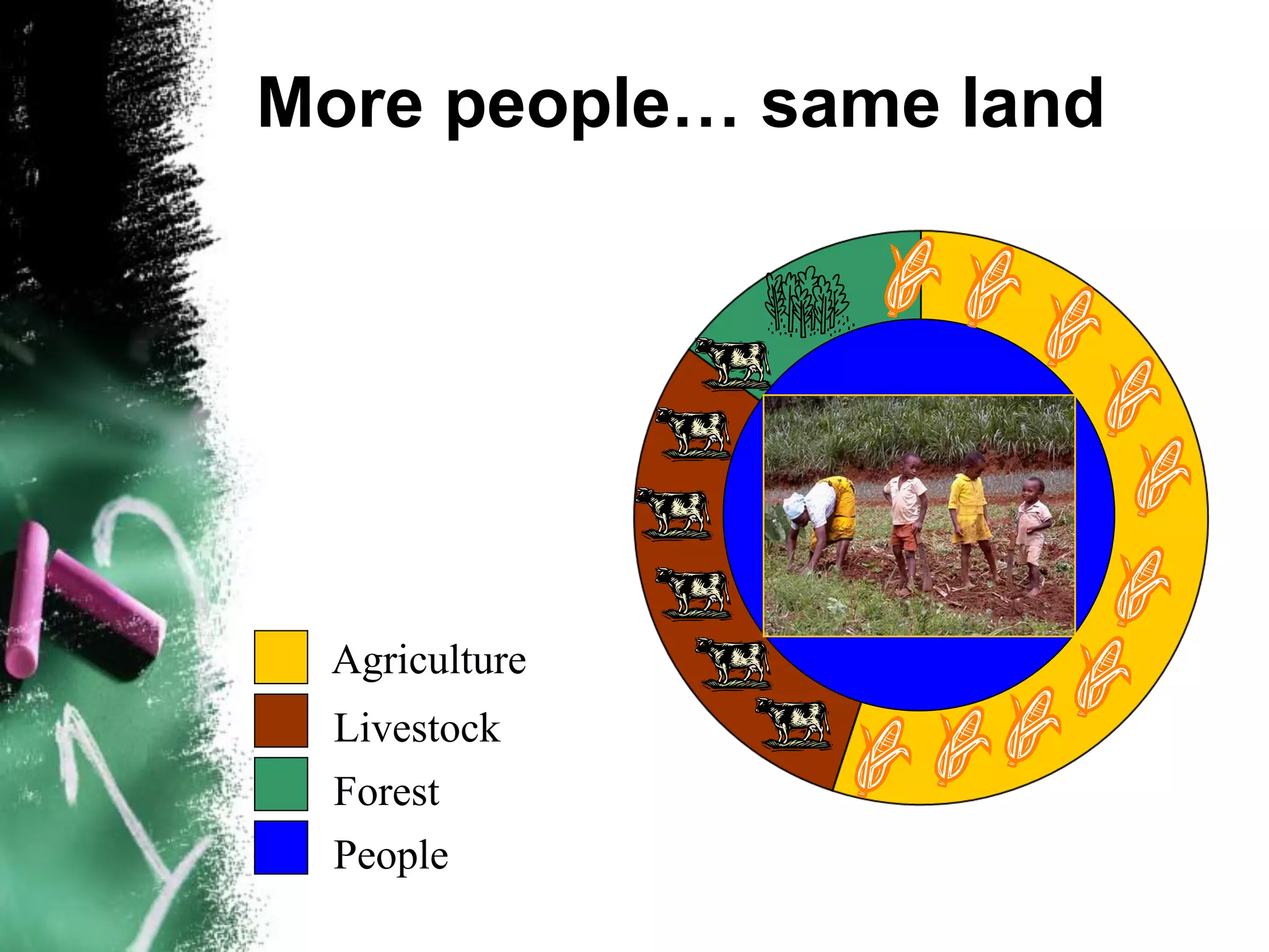 Tree Planting In Kenyan Schools | PDF