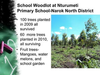Tree Planting In Kenyan Schools | PPT