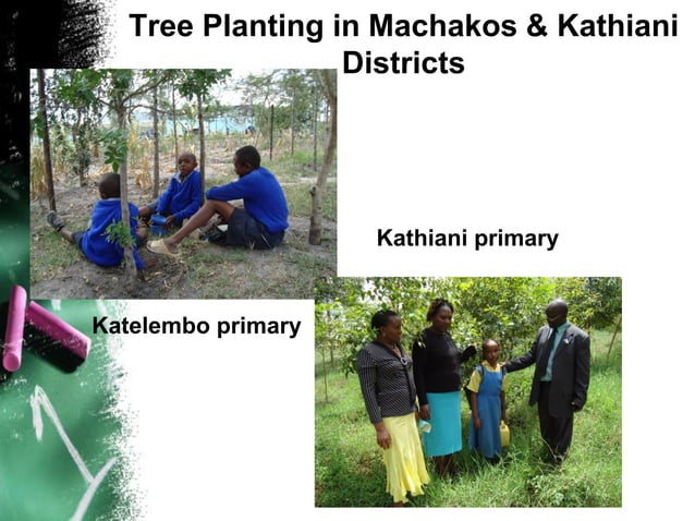 Tree Planting In Kenyan Schools | PPT