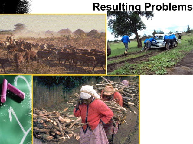 Tree Planting In Kenyan Schools | PPT