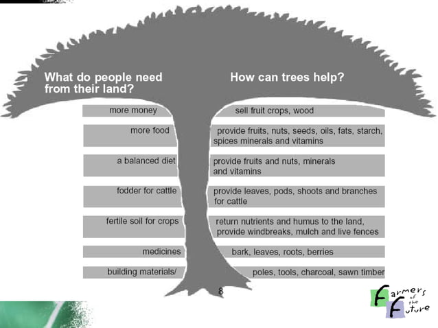 Tree Planting In Kenyan Schools | PPT