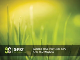 Tree Pruning Slideshow | PPT