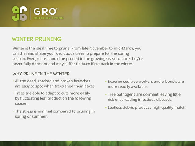 Tree Pruning Slideshow | PPT