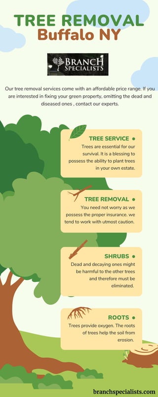 Tree Removal Buffalo NY.pdf