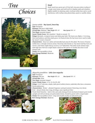Tree Replacement & Selection Guide 2009 | PDF