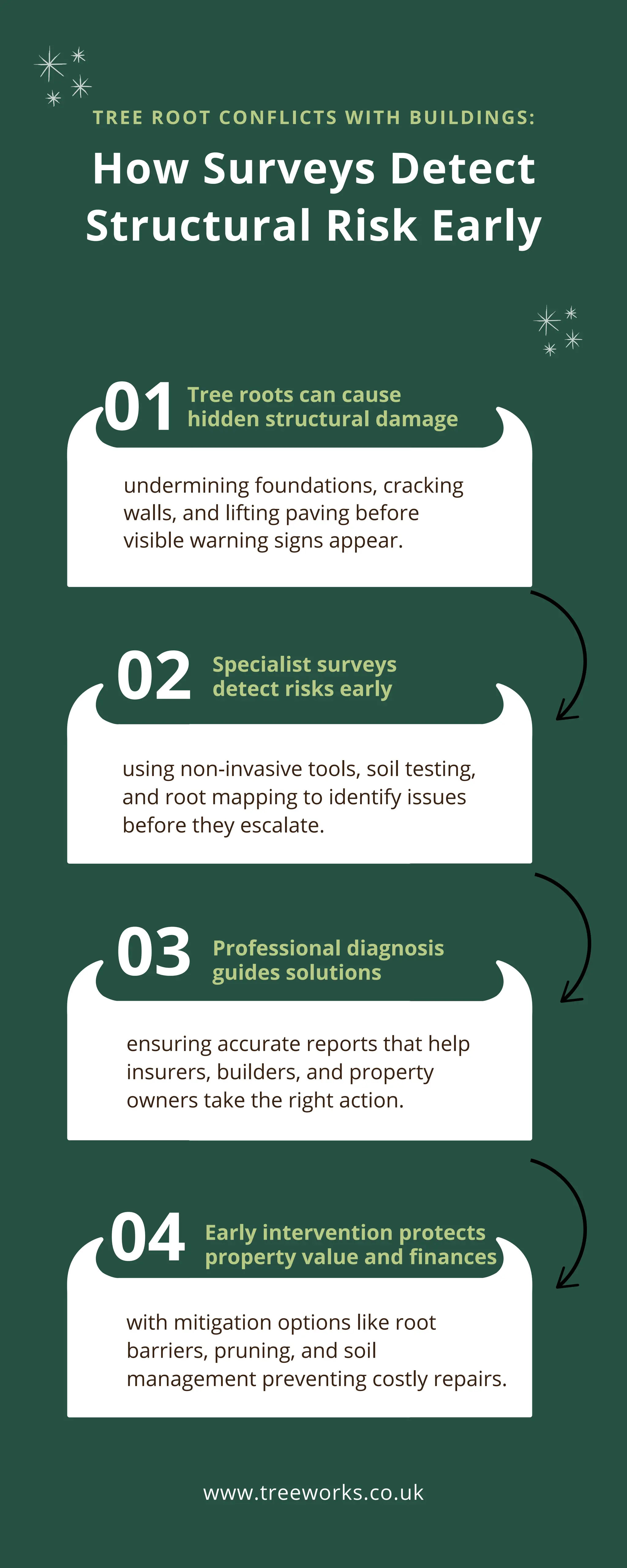 Tree Root Conflicts With Buildings: How Surveys Detect Structural Risk ...