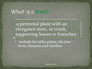 Trees | PPT