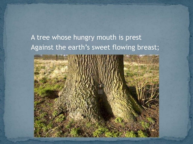 Trees by Joyce Kilmer | PPTX