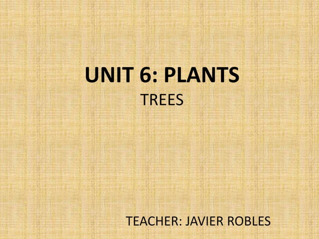 Trees | PPT
