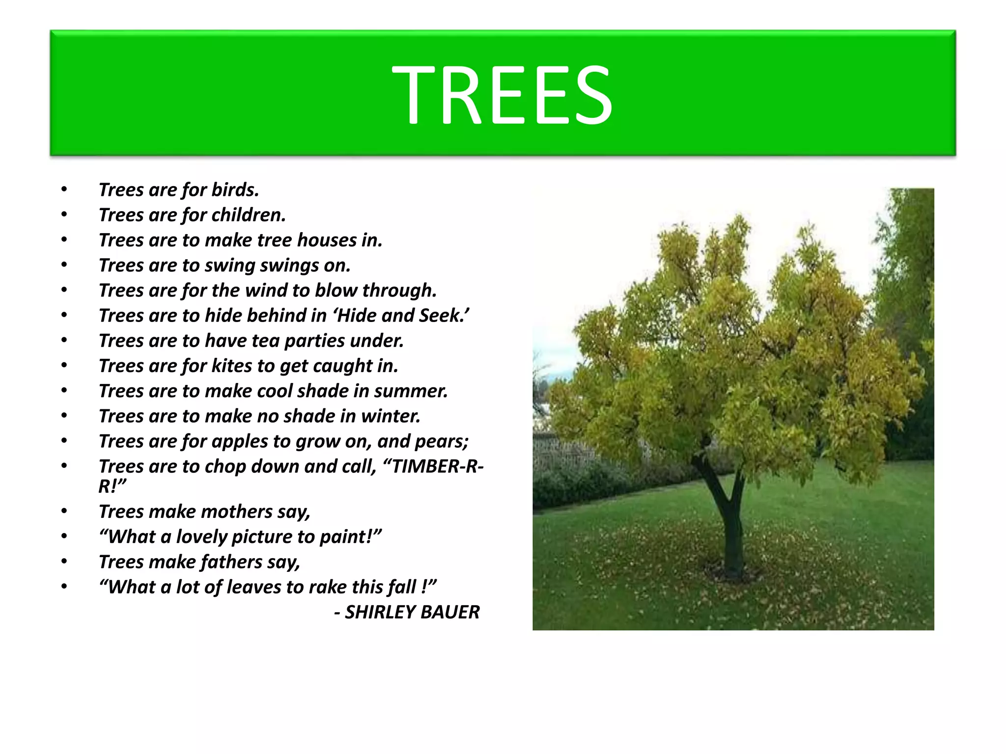 Trees | PPT