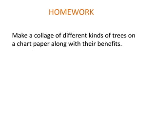 Trees | PPT