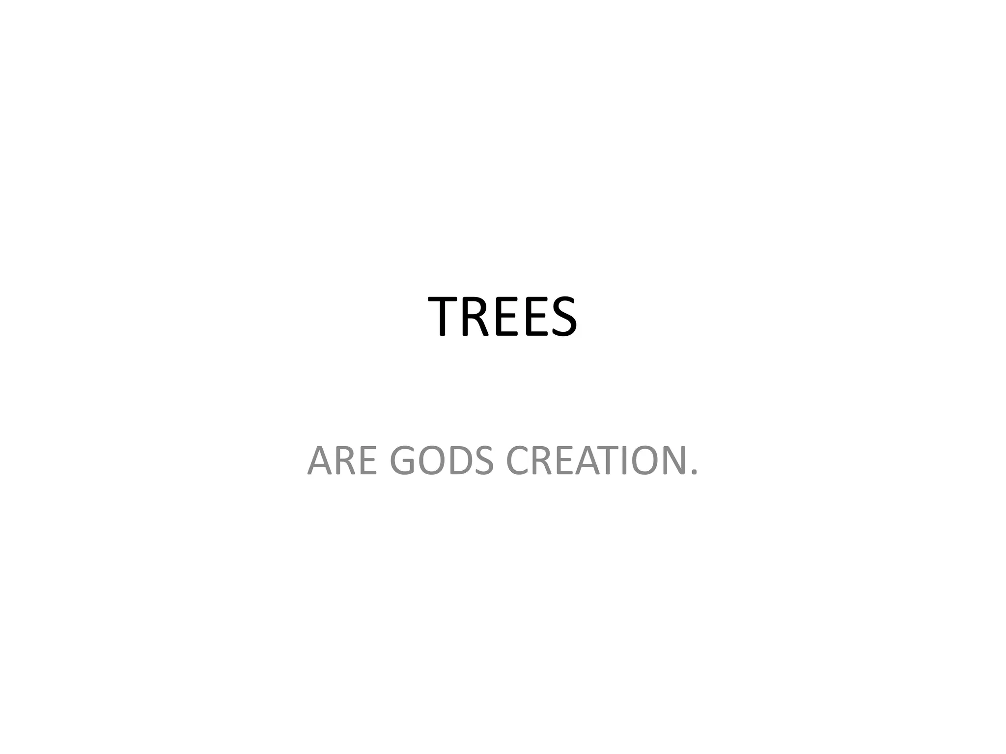 Presentation about trees | PPTX