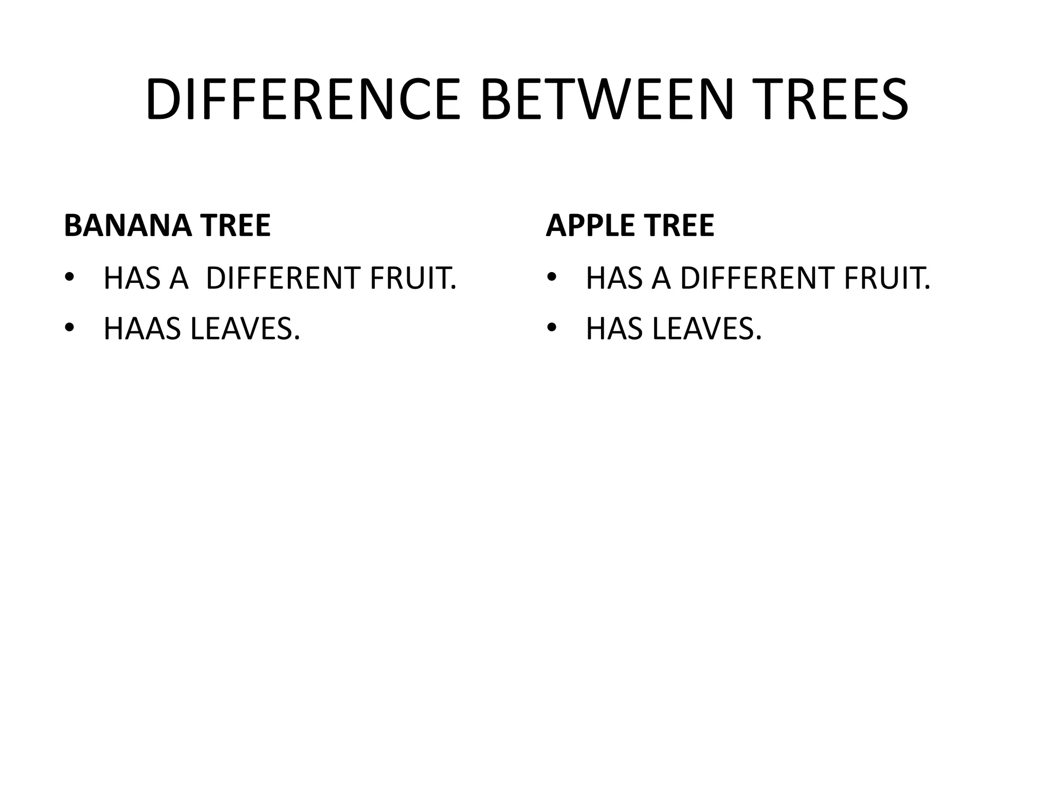 Presentation about trees | PPTX