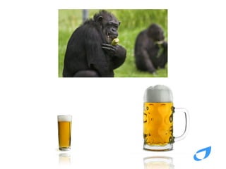 Let's shake some trees | PPT