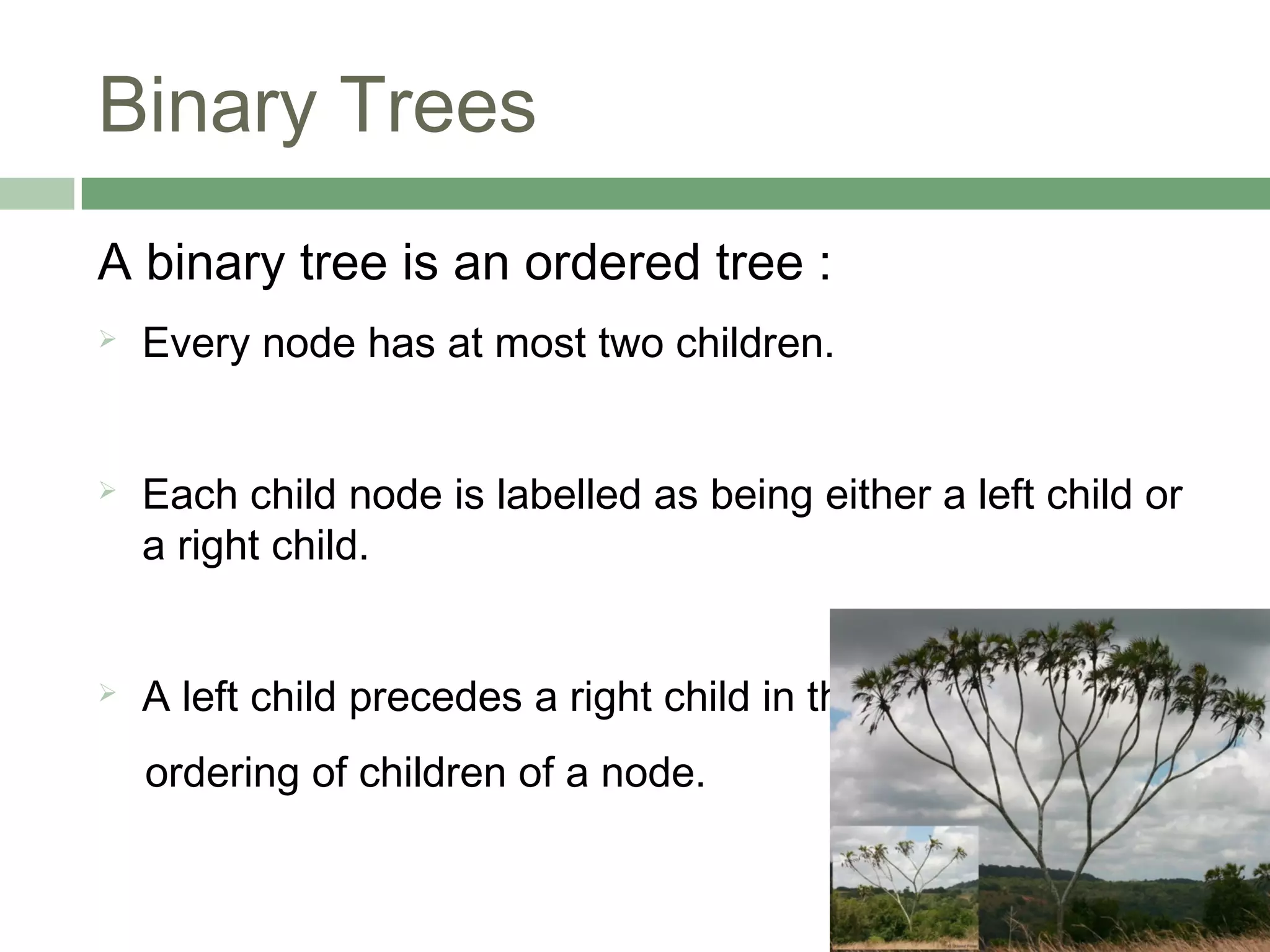Trees - Non Linear Data Structure | PPT