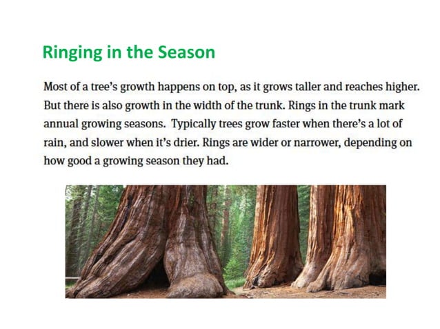 Trees | PPT