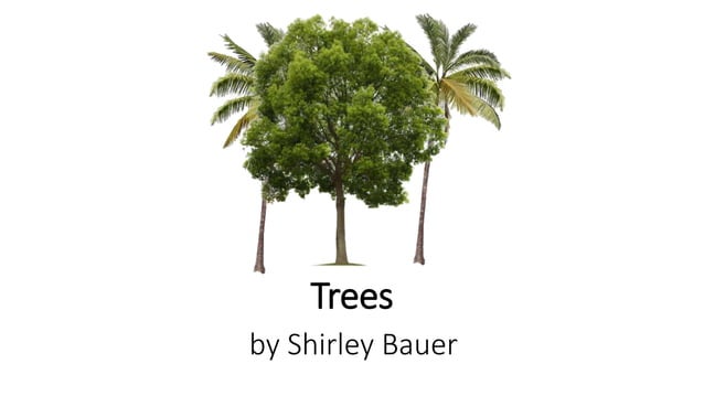 Trees.pptx