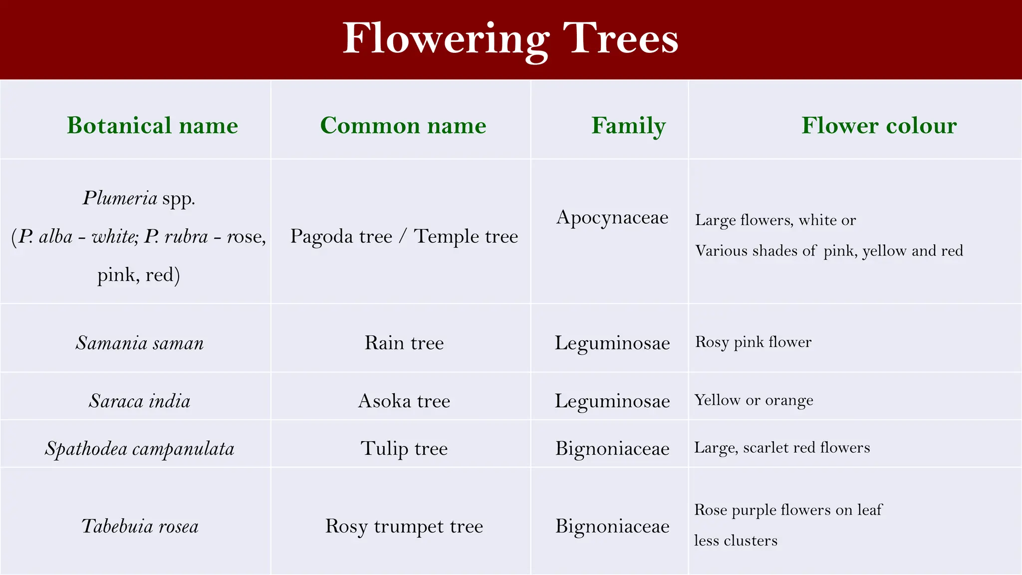 Flowering and foliage trees for landscaping.pdf
