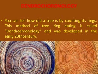 TREES- zeal study 6 term 1.pptx