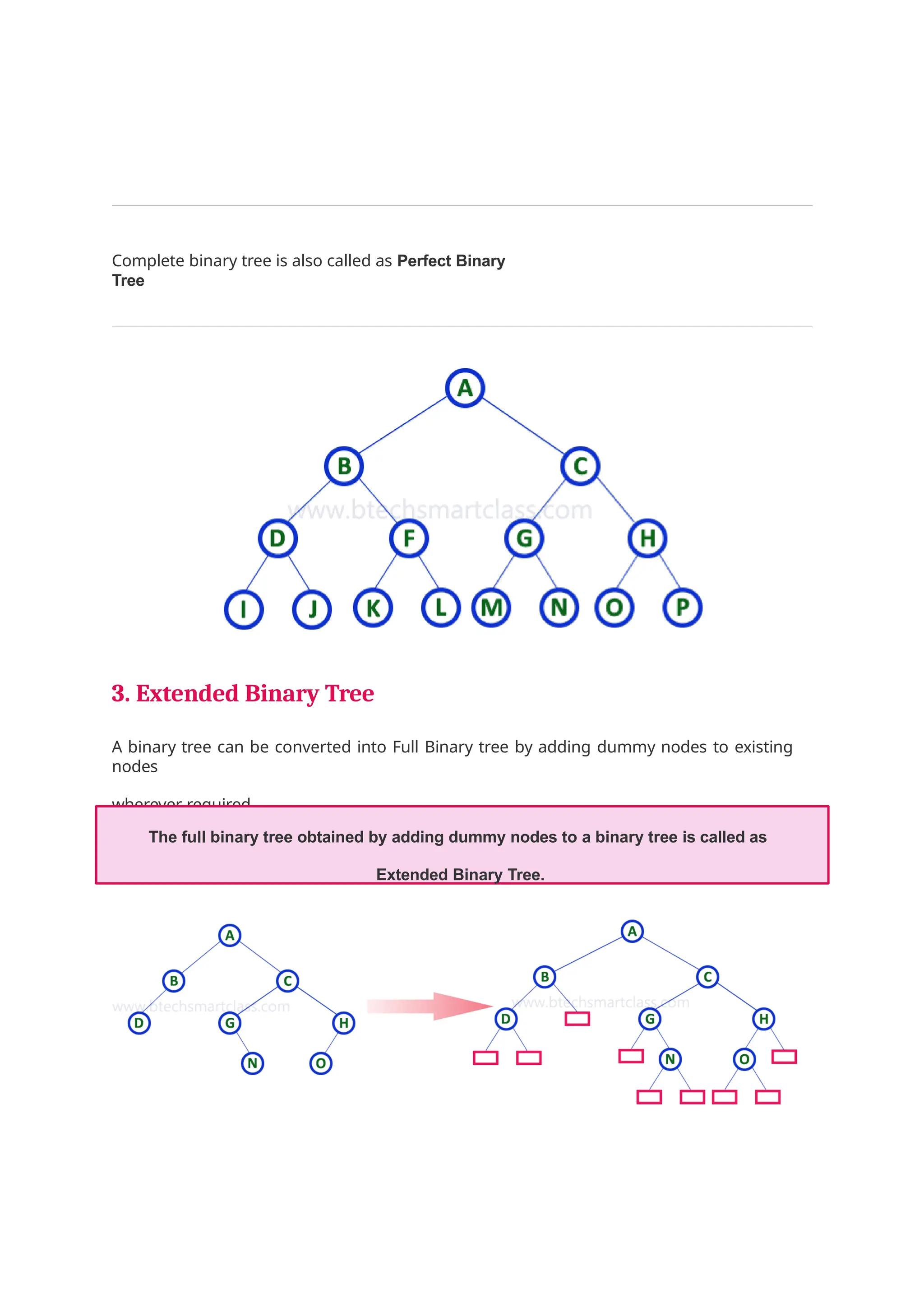 TREES basics simple introduction .pptx