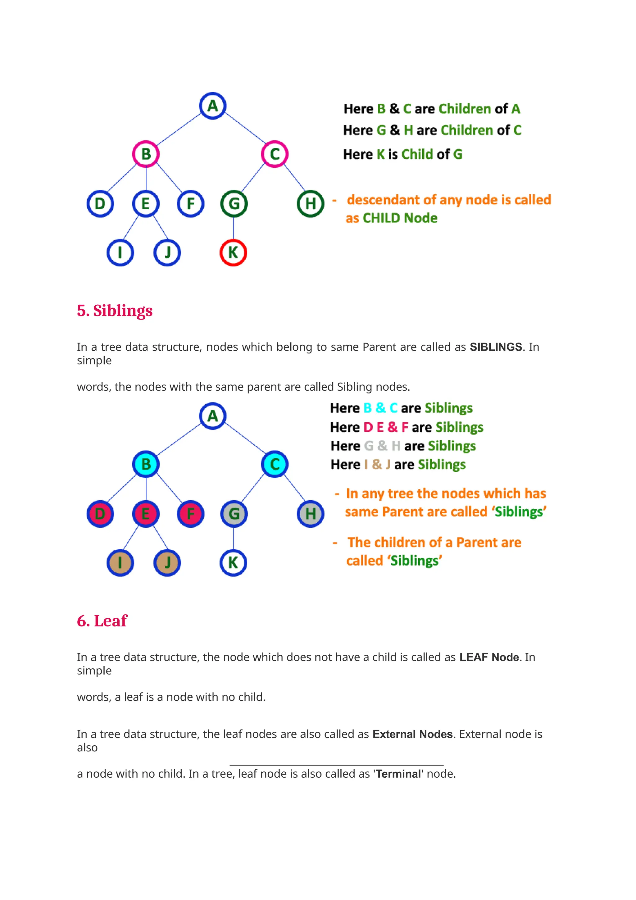 TREES basics simple introduction .pptx