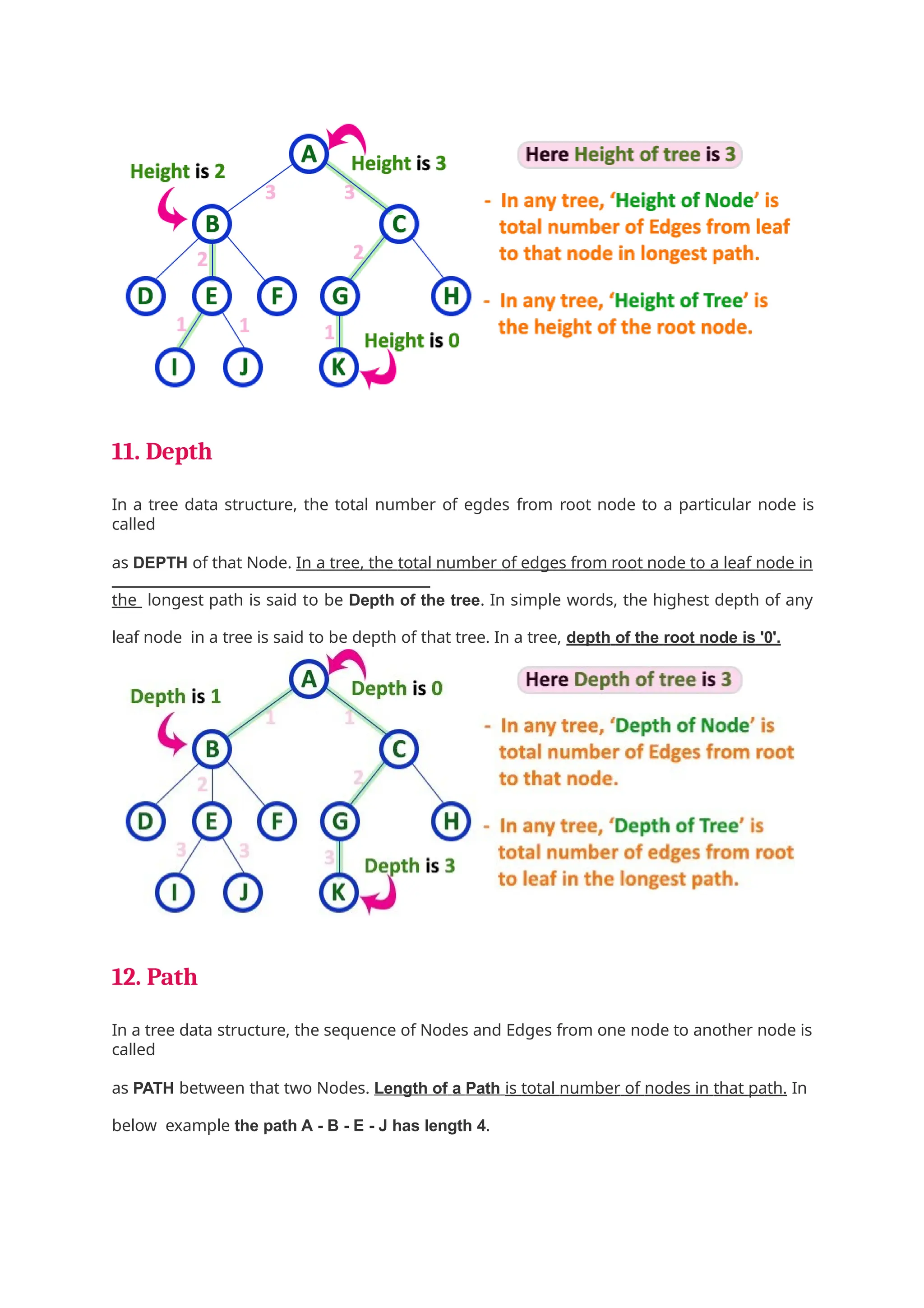 TREES basics simple introduction .pptx