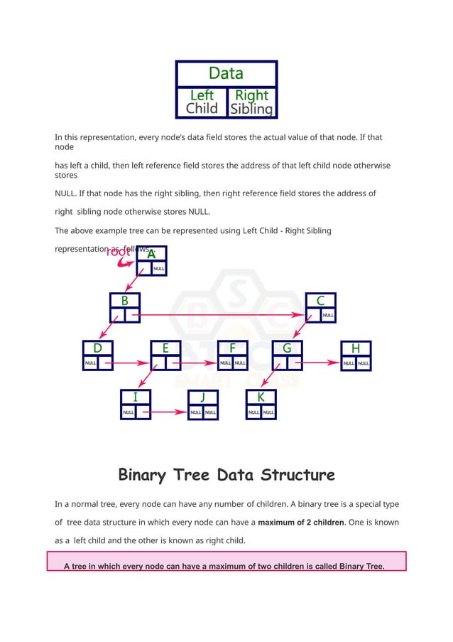 TREES basics simple introduction .pptx