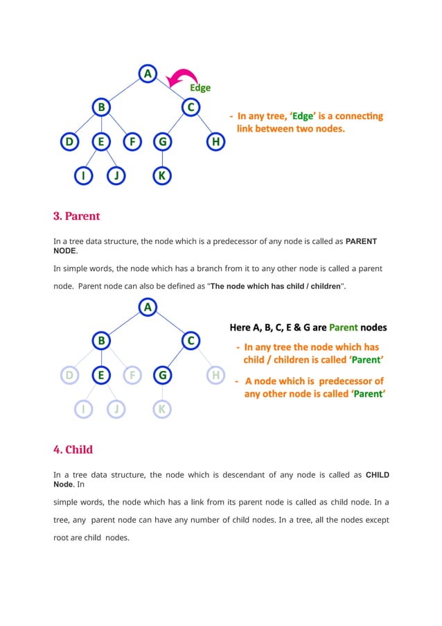 TREES basics simple introduction .pptx