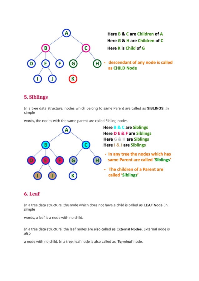 TREES basics simple introduction .pptx