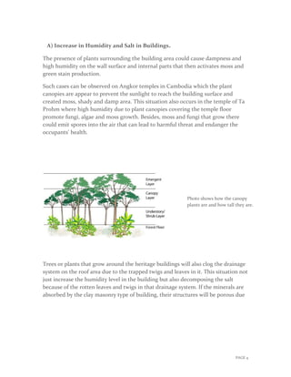 Trees and plants that affects Historical Buildings | PDF