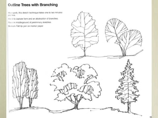 Trees And Shrubs | ZIP