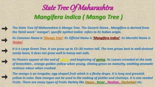 Trees are green gold | PPT