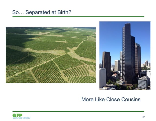 Trees are tenants | PPT