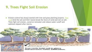 Trees are vital for life | PPTX