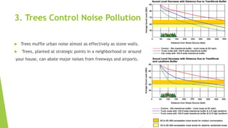 Trees are vital for life | PPTX