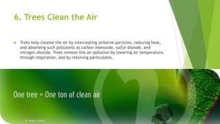 Trees are vital for life | PPT