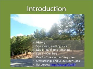 Tree Study A Catalyst for Stewardship | PPT