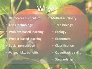 Tree Study A Catalyst for Stewardship | PPT