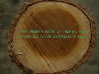 Don't Cut Trees - Classics Revisited 1 | PPT