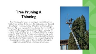 Tree Services in Naples FL.pptx