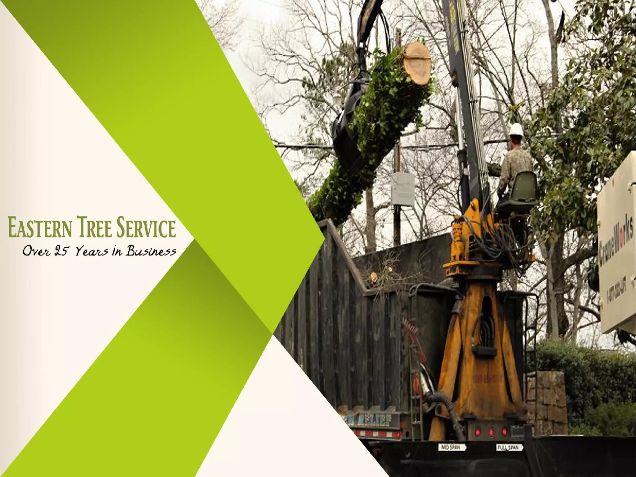 Tree Service Tools and Equipments | ODP