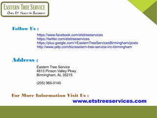 Tree Service Tools and Equipments | ODP